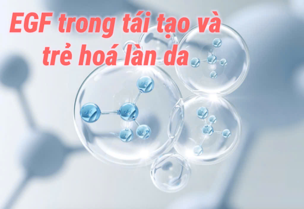 EGF (Epidermal Growth Factor) – Tinh hoa công nghệ sinh học trong tái– PHARTI DERM