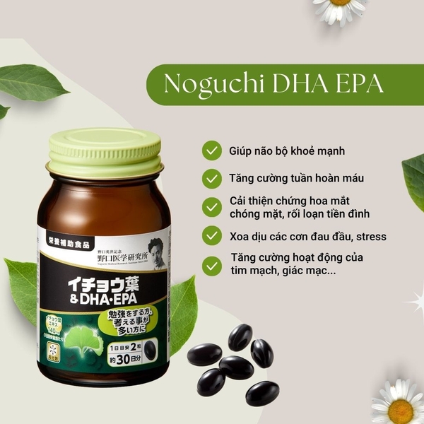 Viên uống bổ não Noguchi DHA EPA Ginkgo 60 viên – Mẫu mới