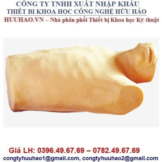 MÔ HÌNH MÔ PHỎNG CHỌC DÒ MÀNG TIM GD/L264