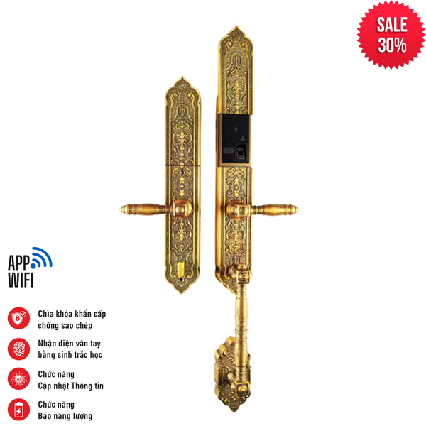 Khóa điện tử FS 009 AC