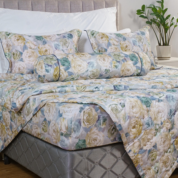 Bộ ga chun Bellis B47