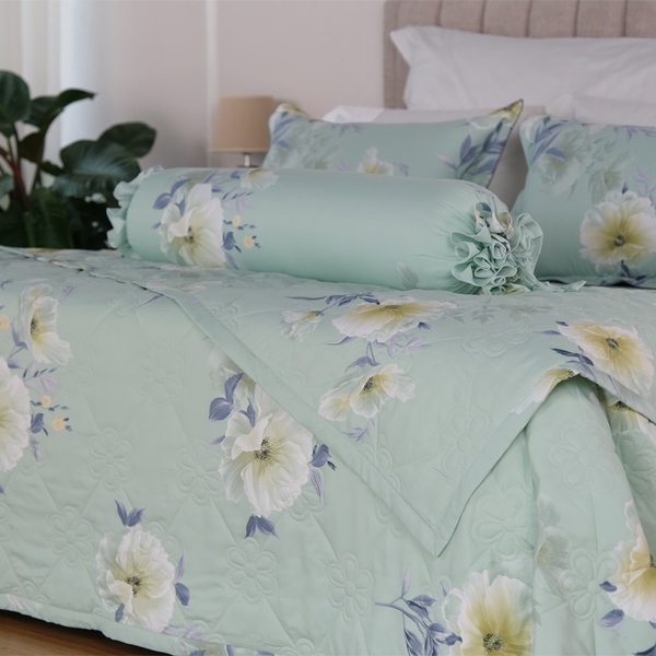 Bộ ga chun Bellis B18