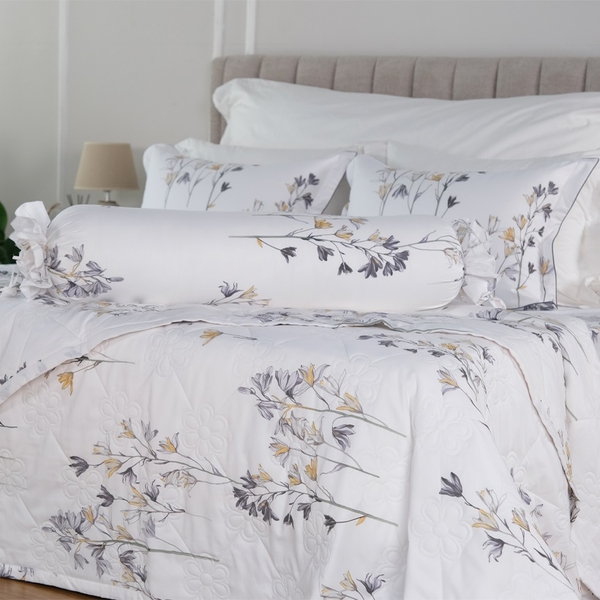 Bộ ga chun Bellis B30