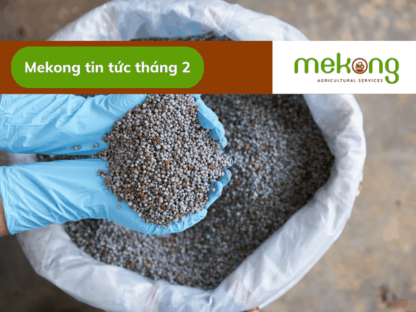Quý 1/2023: Giá phân bón vẫn khó “hạ nhiệt” | Công ty TNHH Nguyên liệu Nông nghiệp Mekong