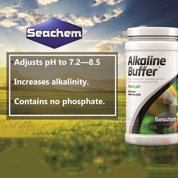 Tăng pH Seachem Alkaline Buffer đệm nâng kH nước bể cá - Shrimp Home