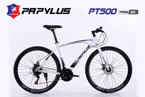 XE ĐẠP TOURING PAPYLUS PT500