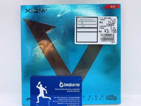 Mặt vợt Xiom Vega Intro -Thương hiệu Hàn Quốc-Bảo hành chính hãng Bongban.top