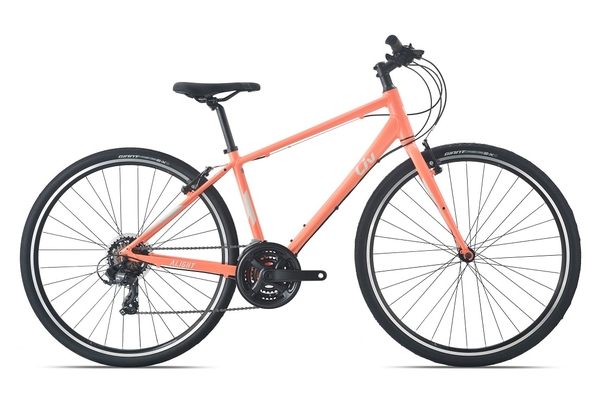 2024 LIV ALIGHT 3 | Vua Xe Đạp