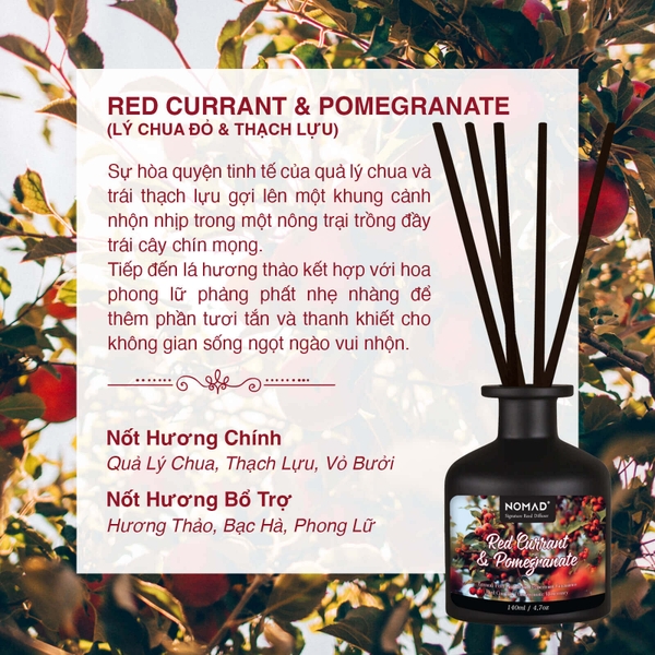 Bộ Tán Hương Que Mây Nomad Reed Diffuser 140ml - Red Currant & Pomegranate | OILMART
