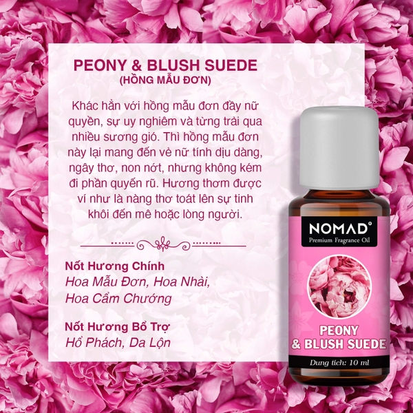 Tinh Dầu Thơm Nomad Premium Fragrance Oil - Peony & Blush Suede | OILMART