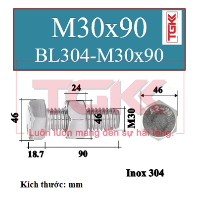Bu lông inox 304-M30x90+E Siêu thị ốc vít