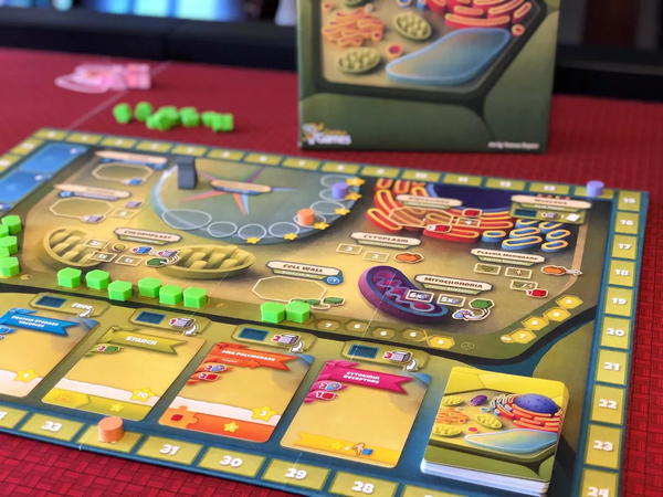 Cellulose: A Plant Cell Biology Game Merry Meeple