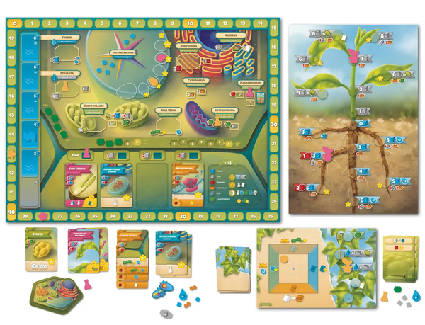 Cellulose: A Plant Cell Biology Game Merry Meeple