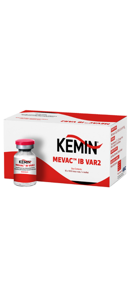 MEVAC™ IB VAR 2 | Công ty TNHH Vetstar