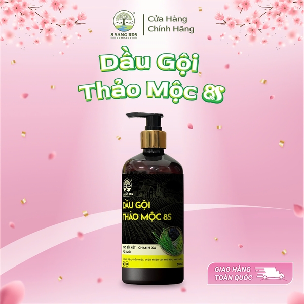 Dầu Gội Bồ Kết - 500ml | Cao Xoa Bóp Thảo Dược 8S - Cao Xoa Bóp Vật Lý Trị Liệu