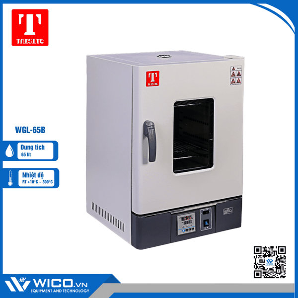 Tủ sấy đối lưu cưỡng bức 65 lít Trung Quốc WGL-65B | Wico Việt Nam