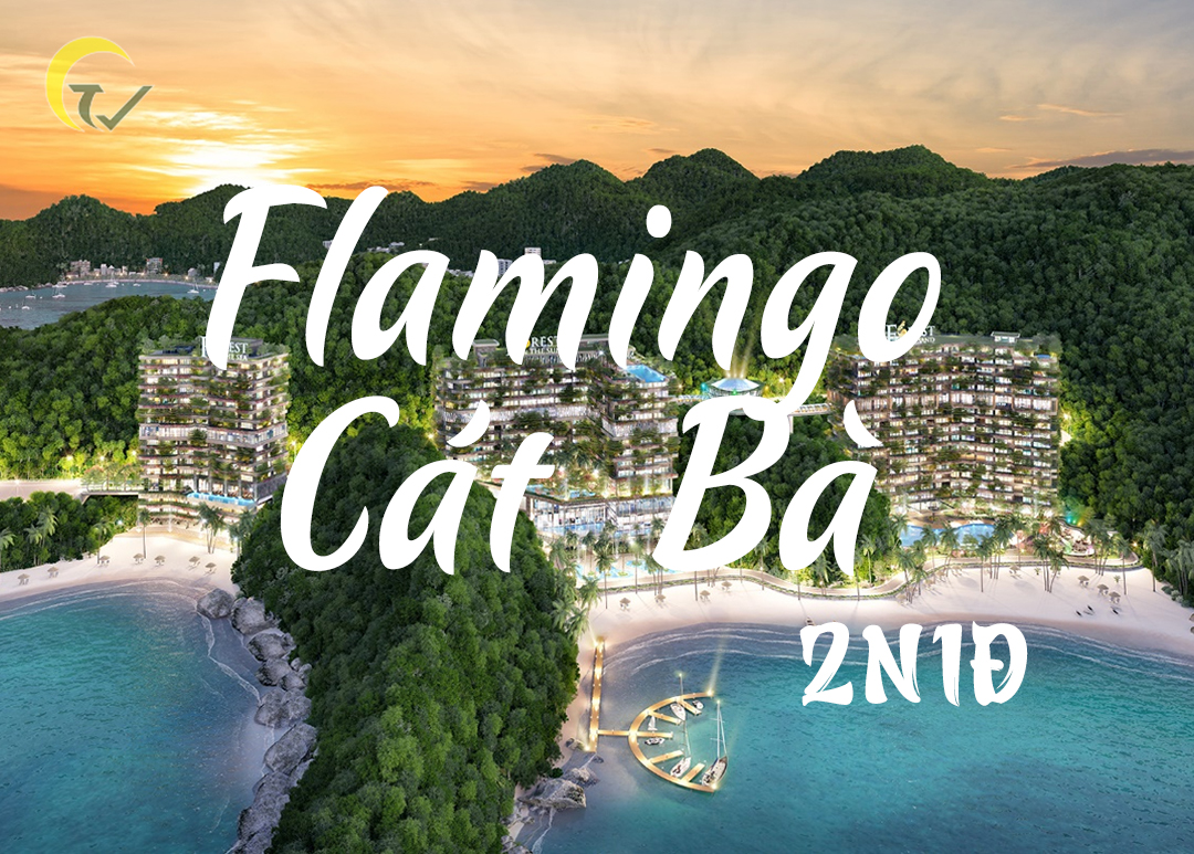 FLAMINGO CÁT BÀ 2 NGÀY 1 ĐÊM | Du lịch quốc tế Tre Việt