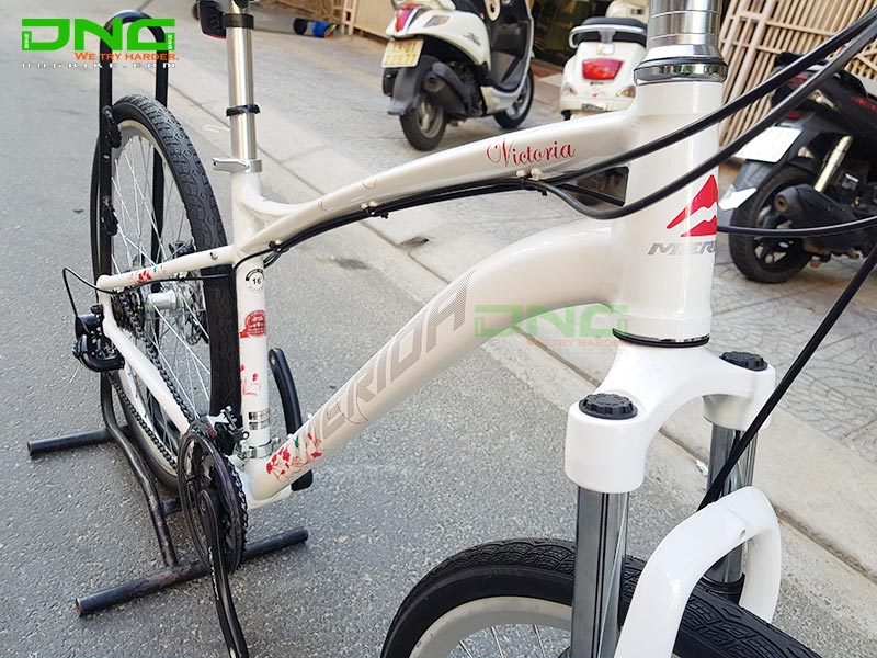 Xe p a h cheapest nh