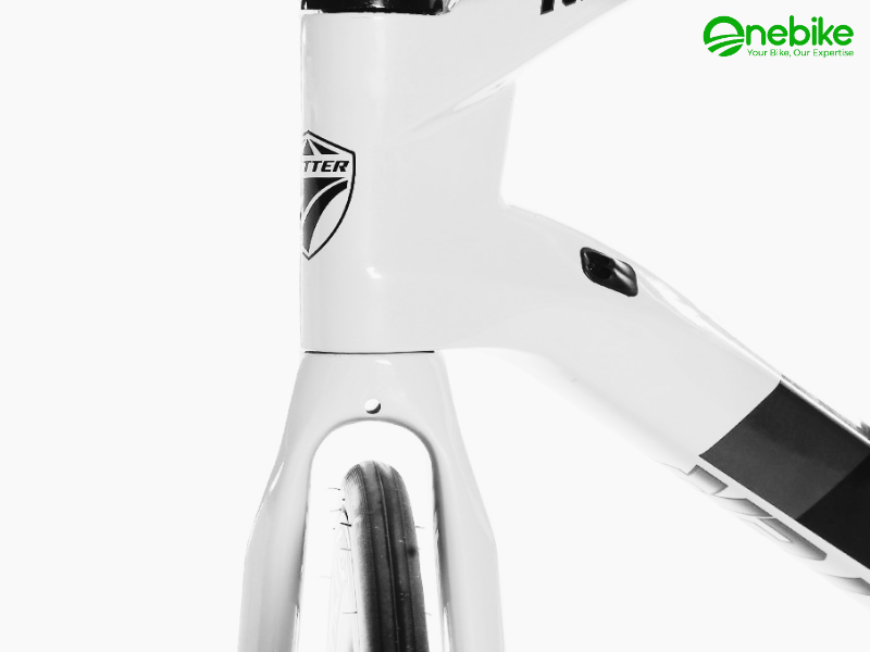 Xe đạp đua FLATROAD TWITTER CYCLONE PRO RS-24S-V | DneBike.com