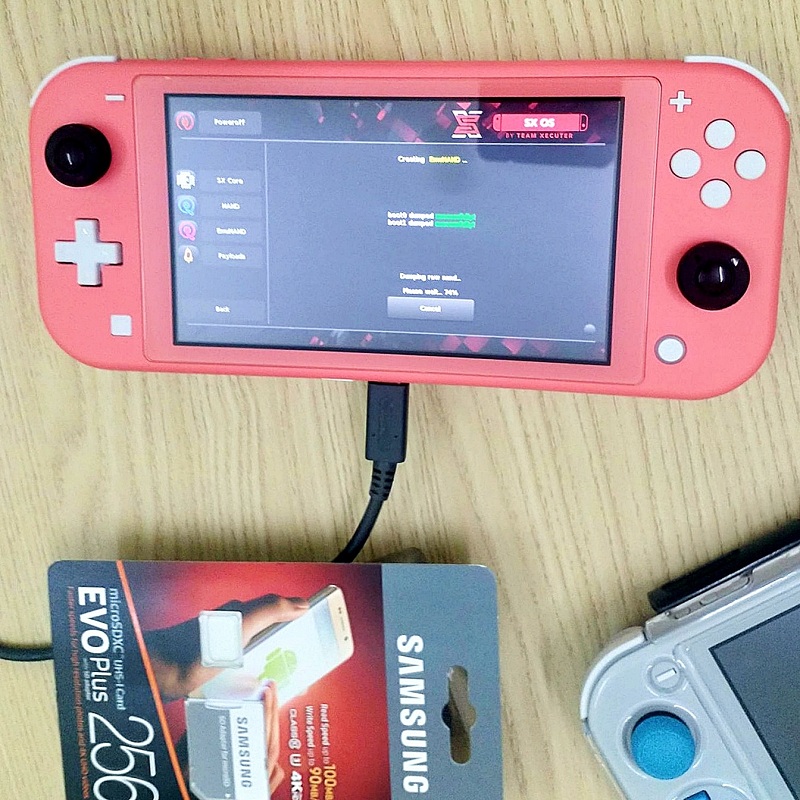Mod chip Nintendo Switch, Switch Lite