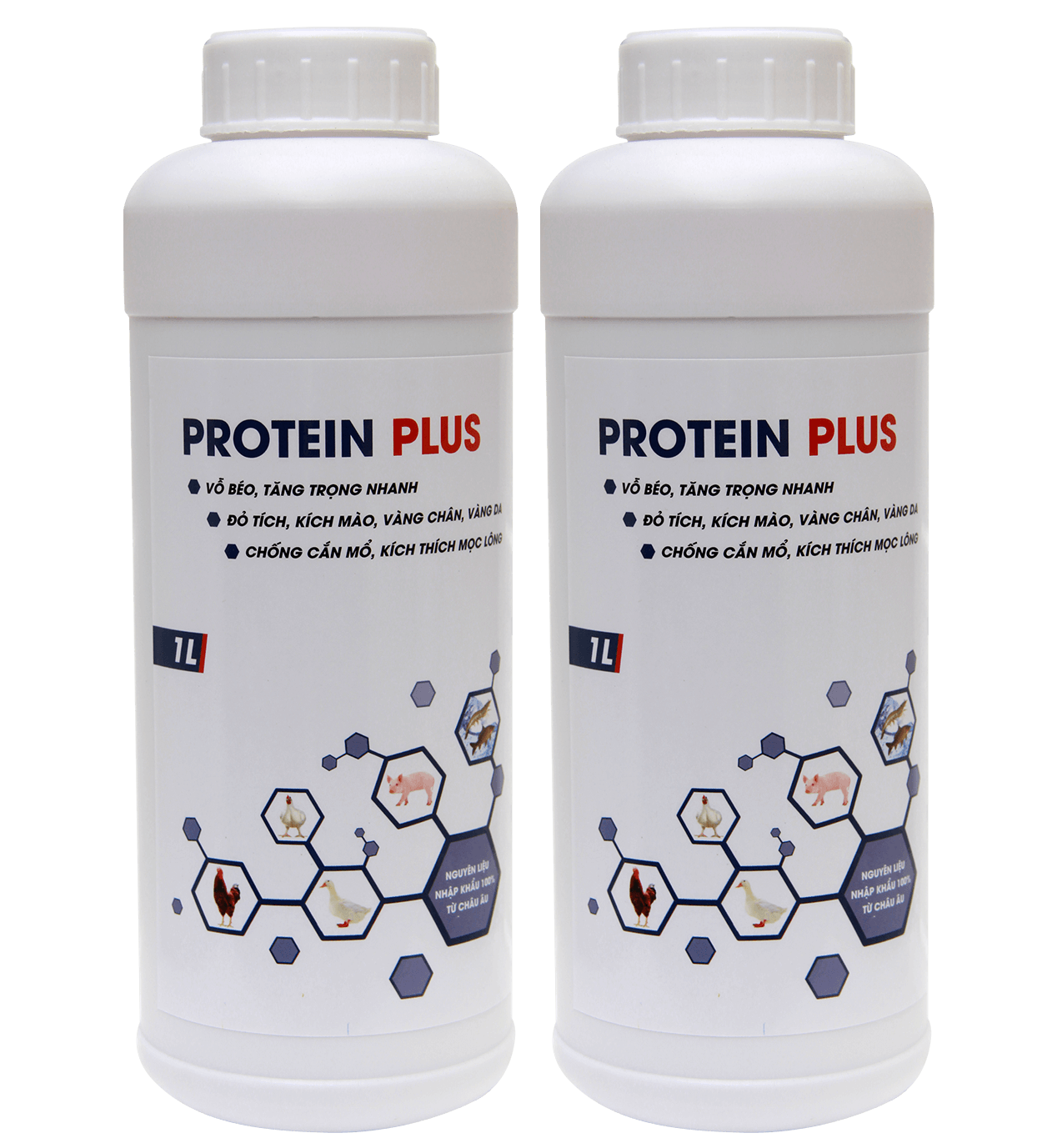 PROTEIN PLUS – agriviet