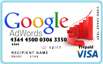 GOOGLE VISA CARD