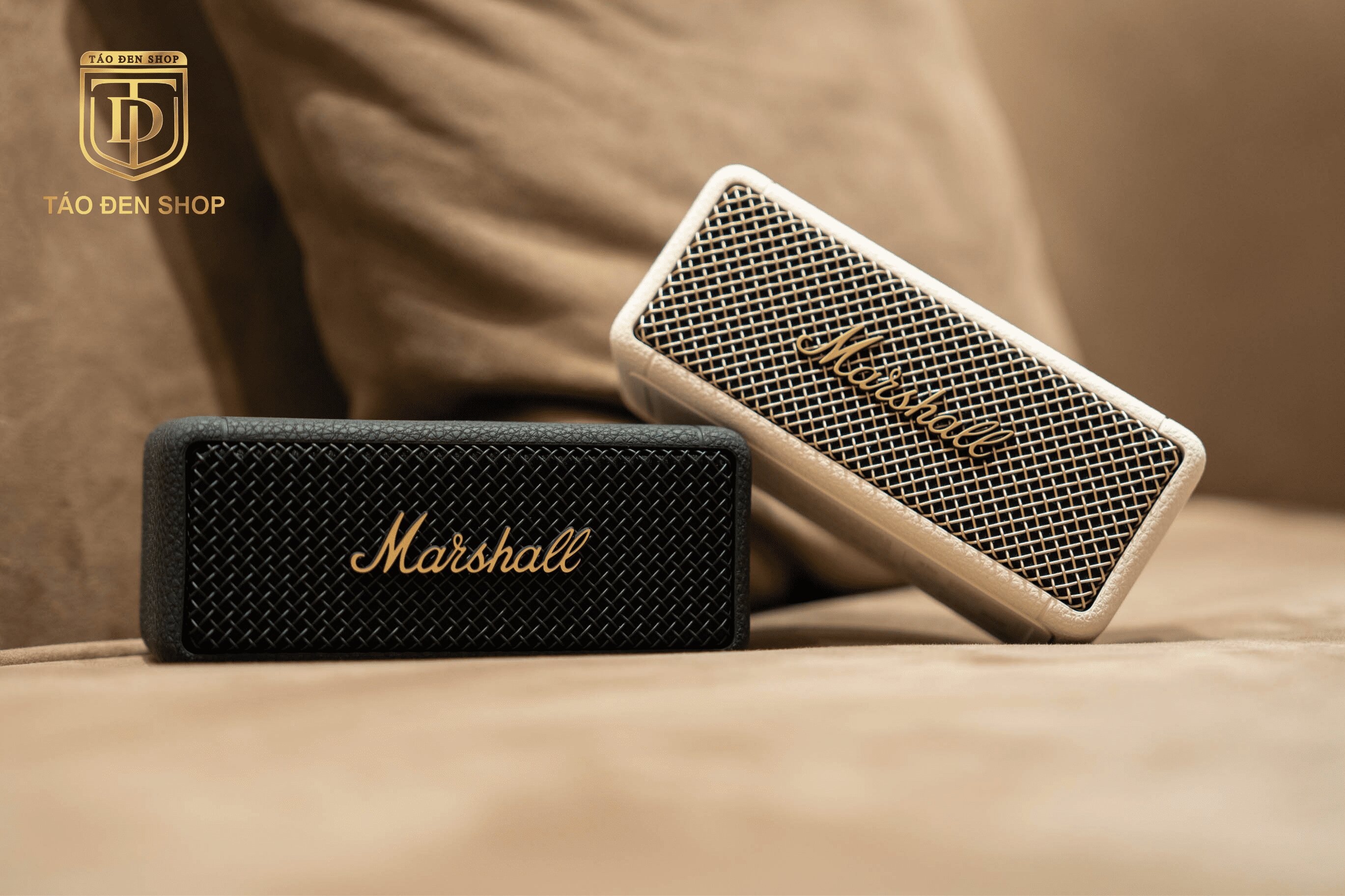 Marshall Emberton 2 ASH