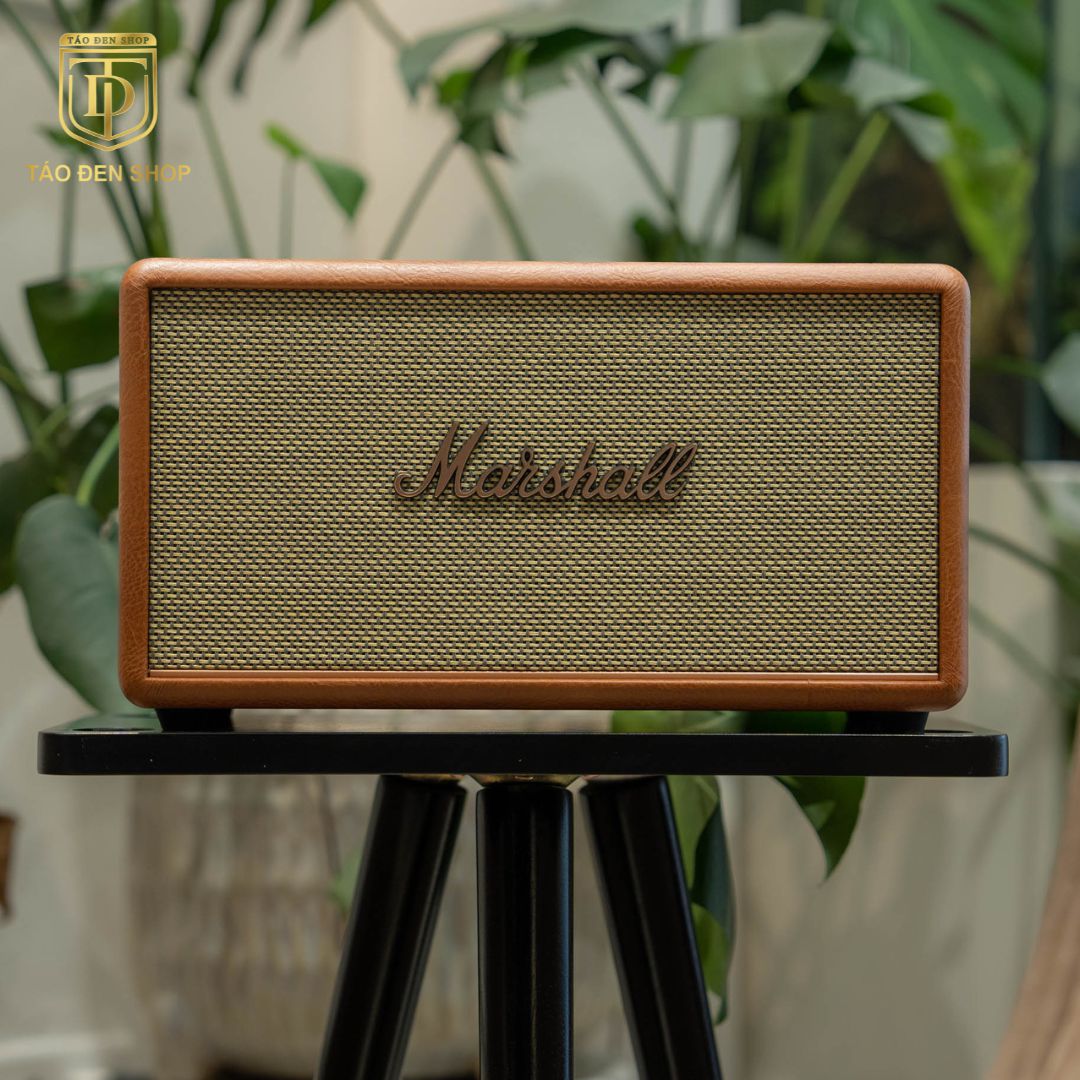 Marshall Stanmore 3 ASH