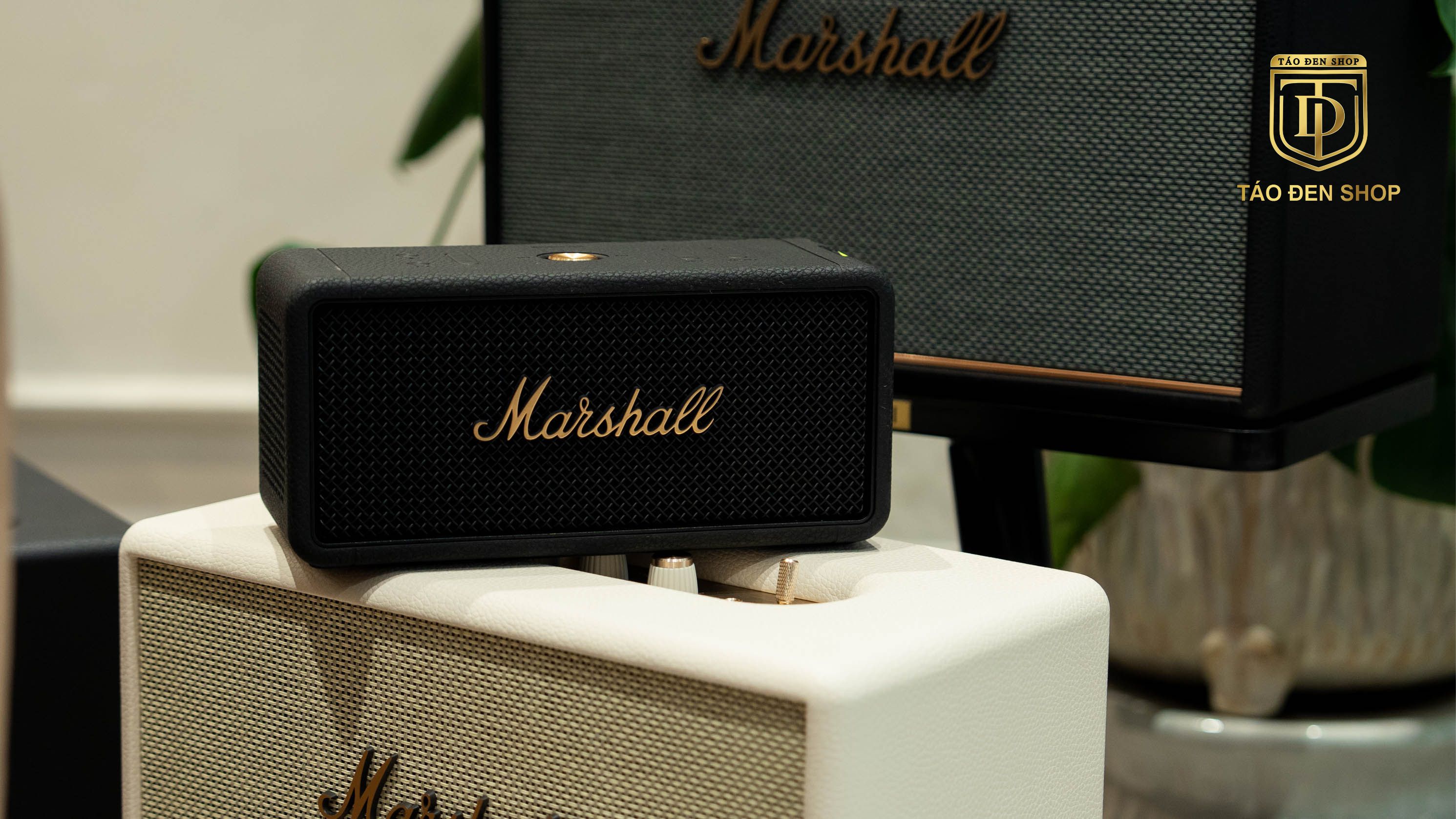 Marshall Middleton ASH