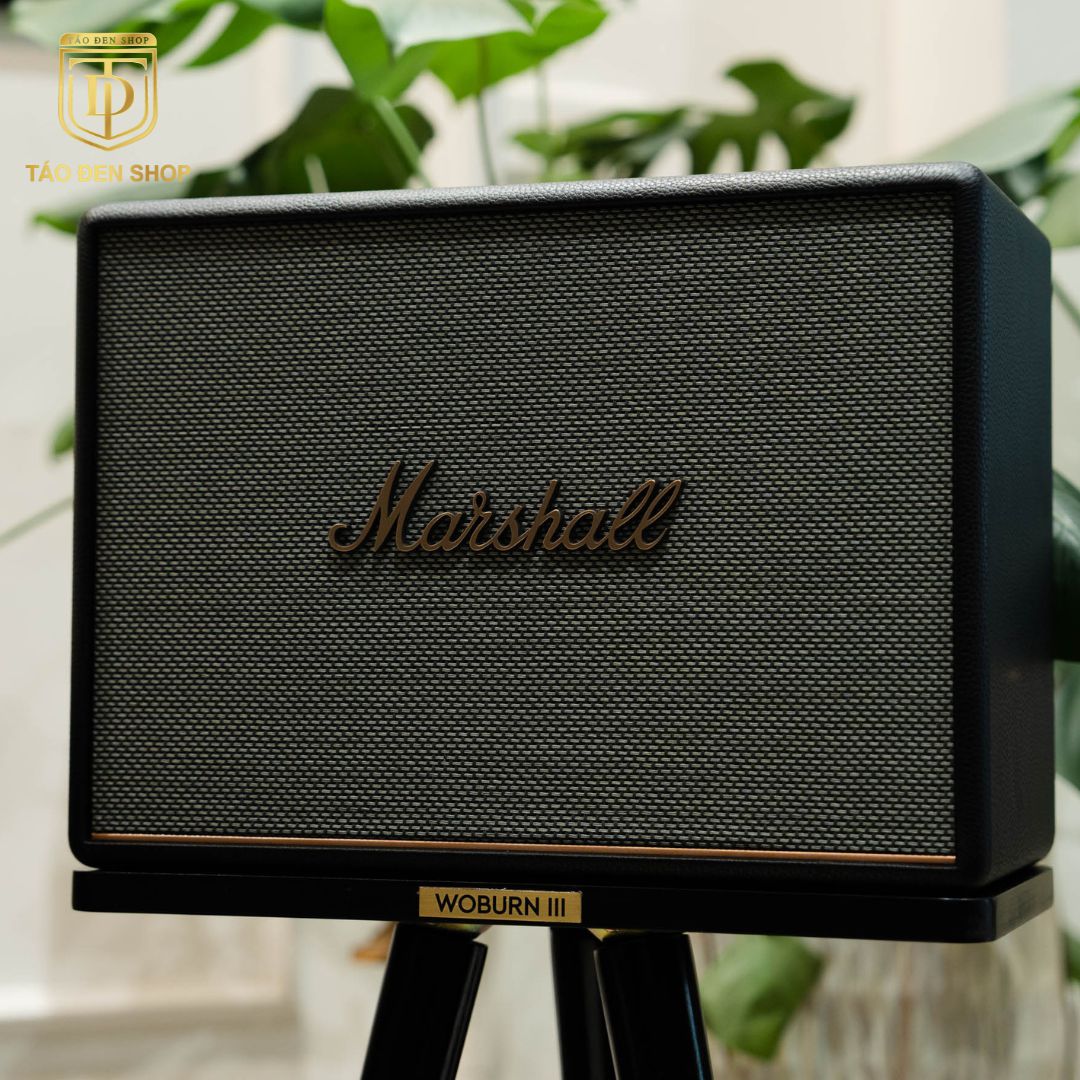 Marshall Woburn 3