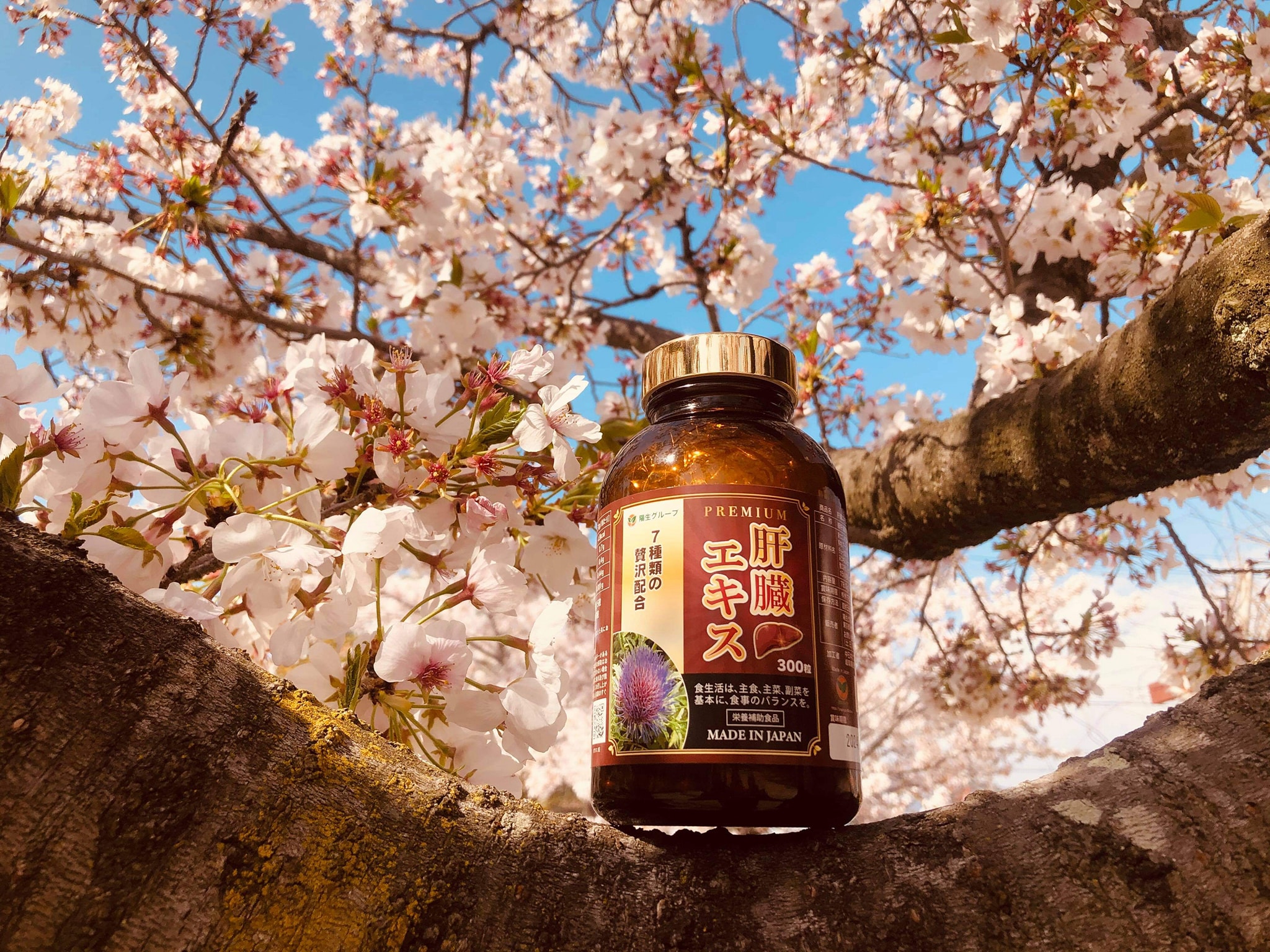 Viên uống bổ gan YO premium Kanzo Ekisu cao cấp Nhật Bản mart96