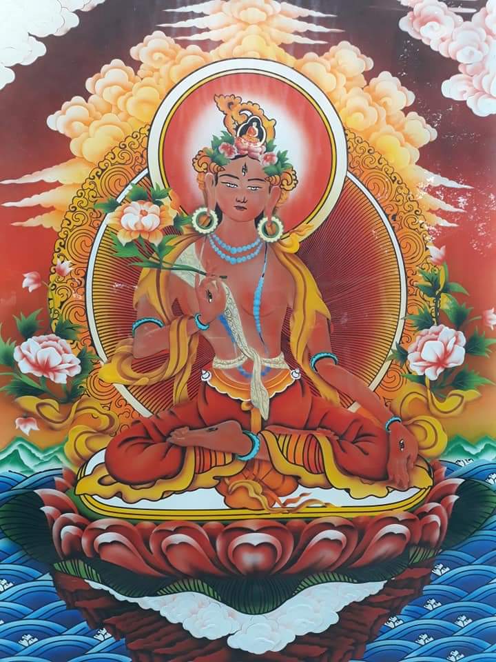 Tara Đỏ. 696