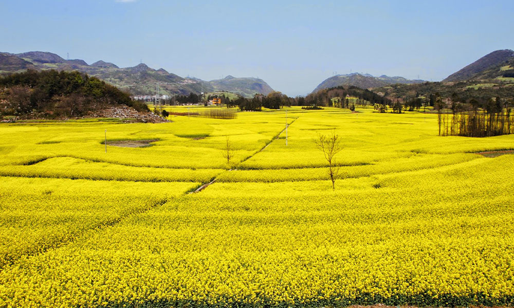 Top 7 địa điểm du lịch Vân Nam cực HOT không thể bỏ lỡ - THÁI AN TRAVEL