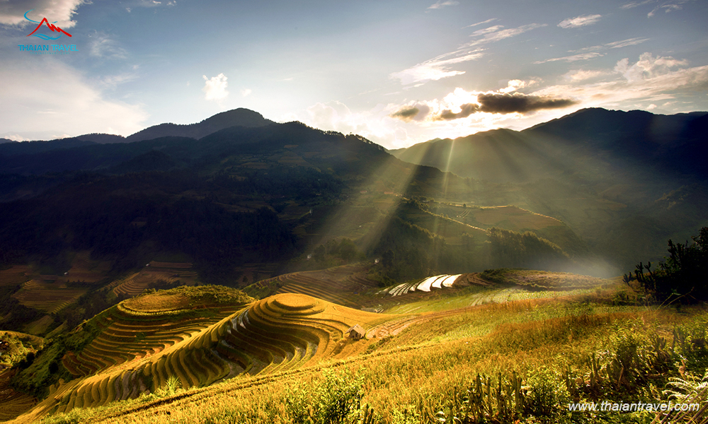 Kinh nghiệm du lịch Mù Căng Chải - Review tất tần tật chi tiết nhất ...