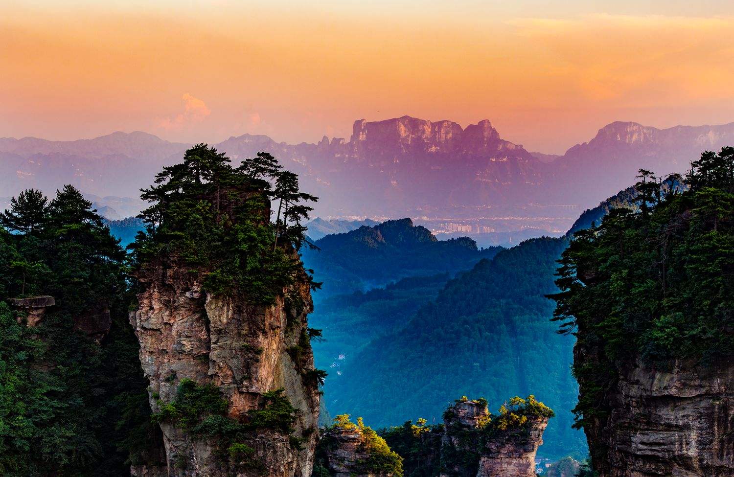 Viên Gia Giới - Chiêm ngưỡng bối cảnh tuyệt phẩm của bộ phim Avatar ...