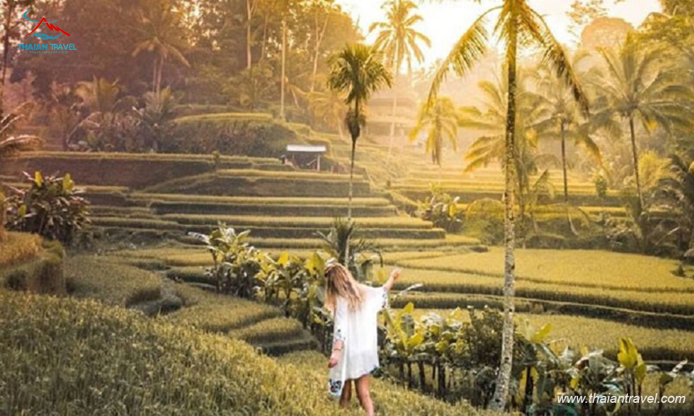 Du lịch Ubud Bali - Kinh nghiệm du lịch và những điều cần biết - THÁI ...