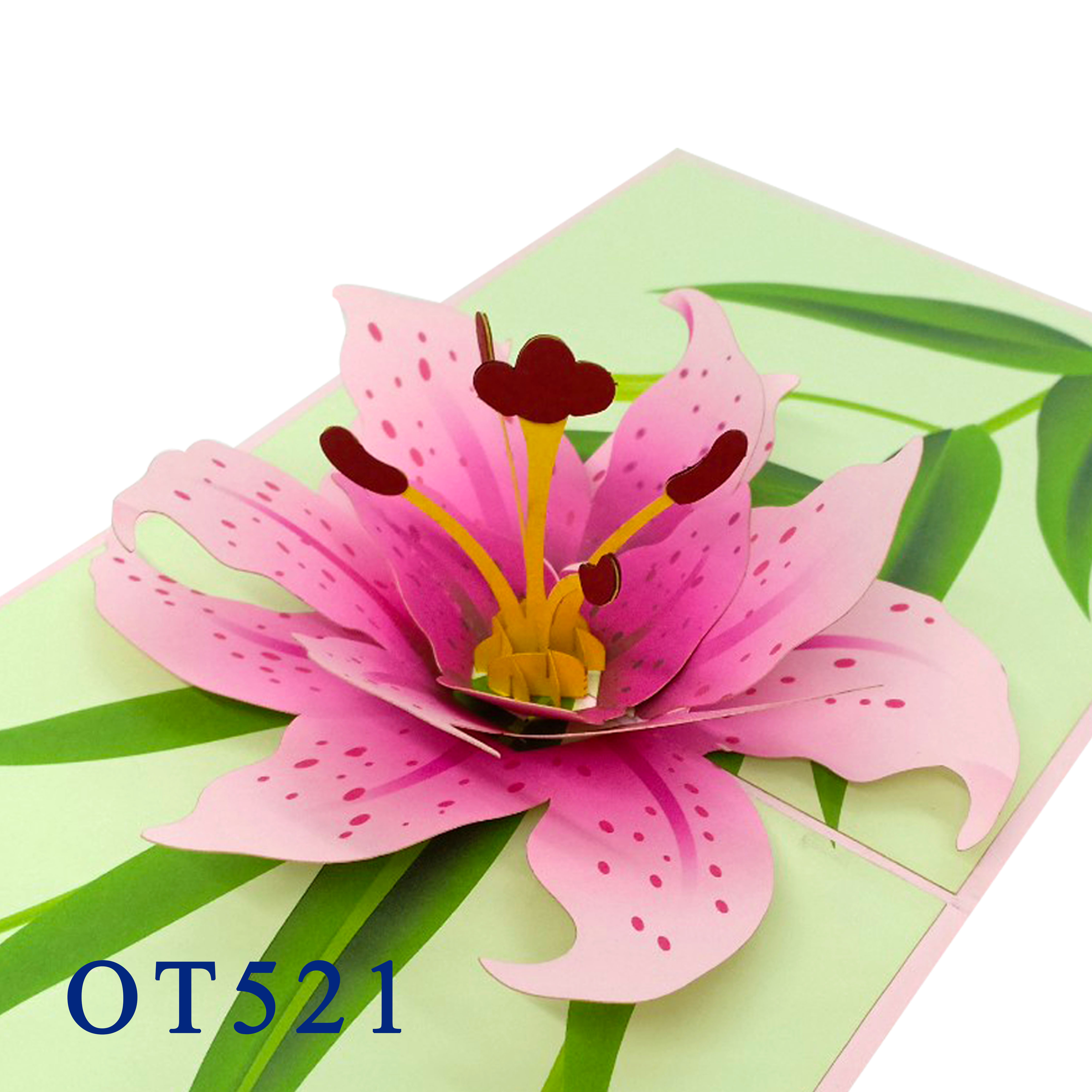 Lily Bloom Pop Up Card