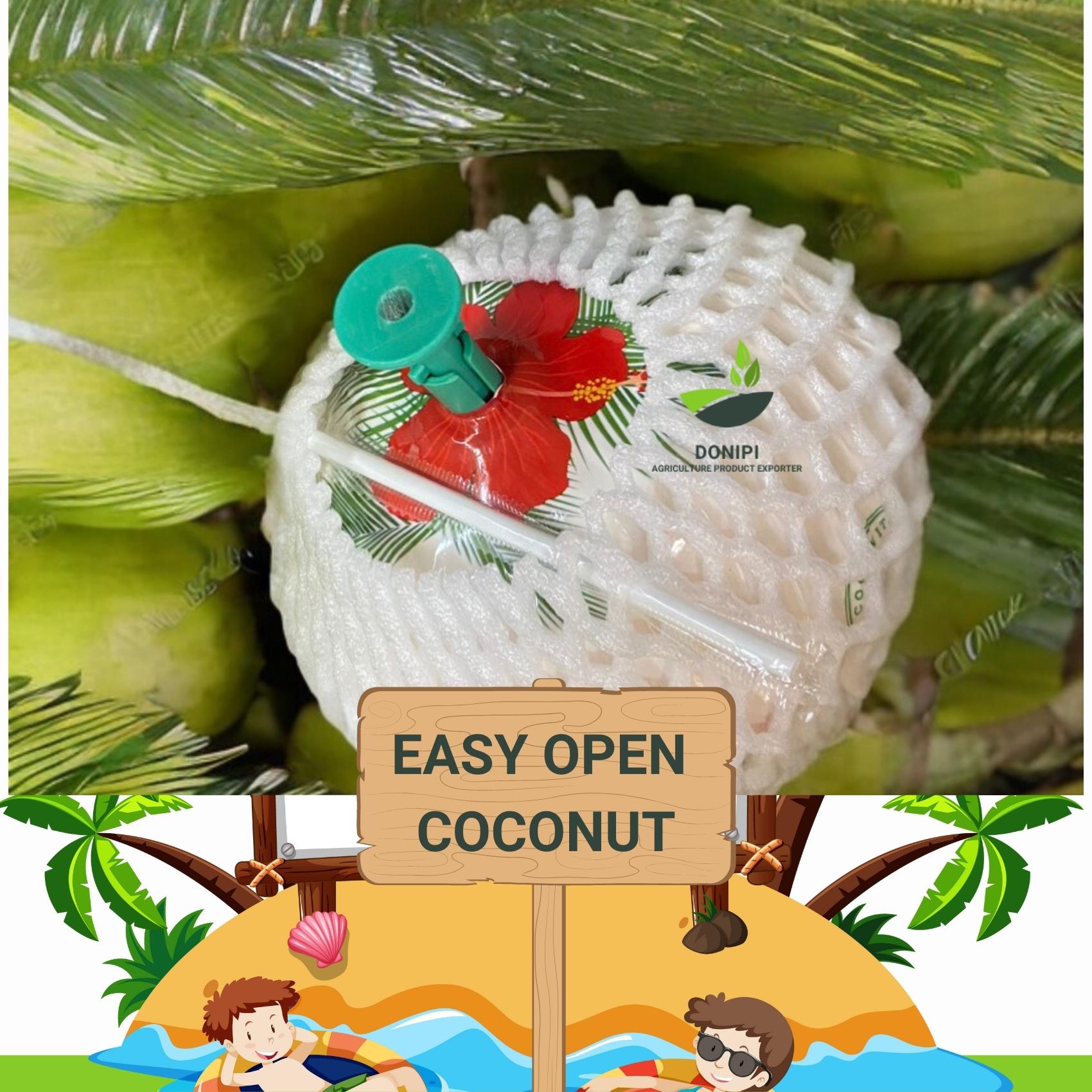 Easy Open Coconut – AGRICULTURE PRODUCT EXPORTER
