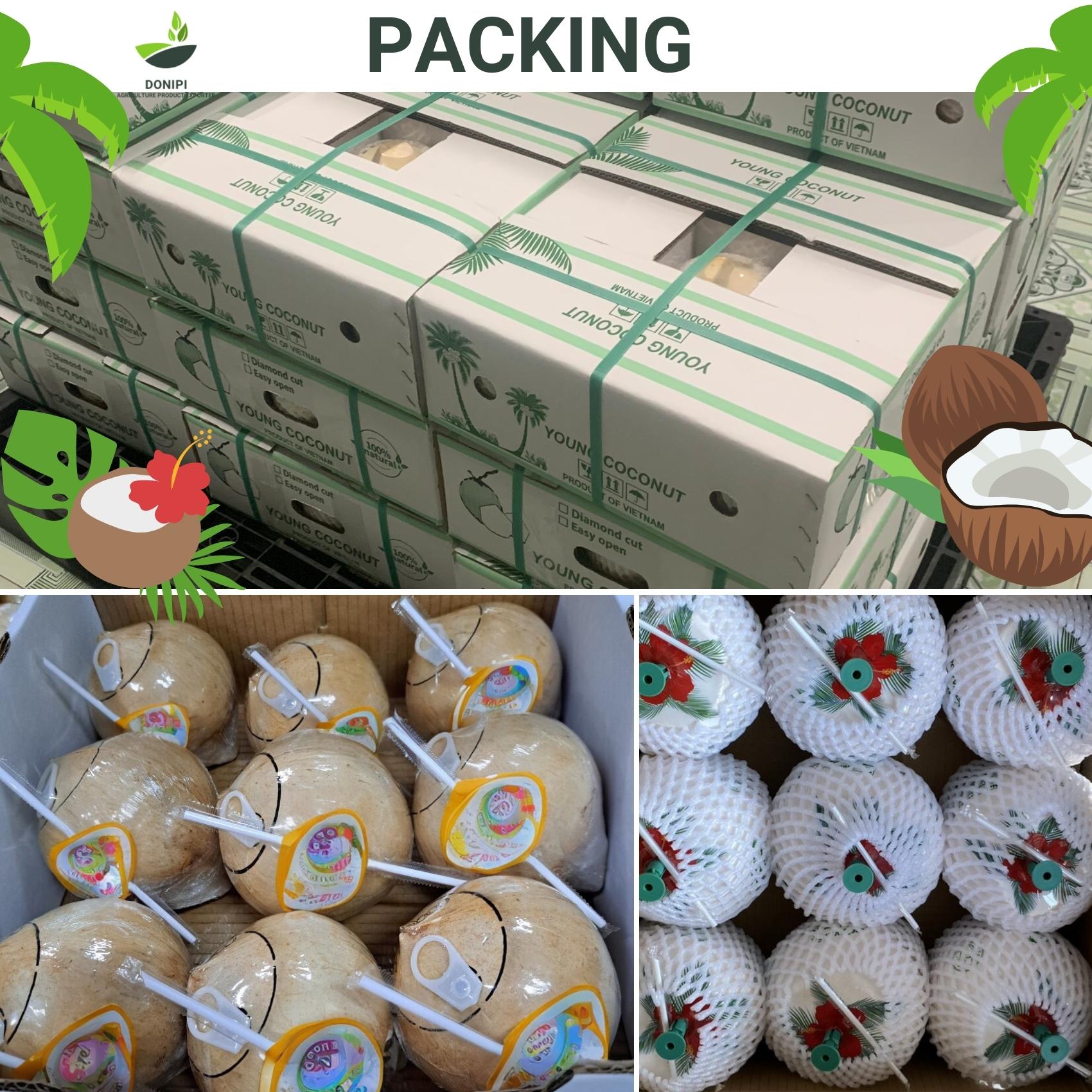 Easy Open Coconut – AGRICULTURE PRODUCT EXPORTER