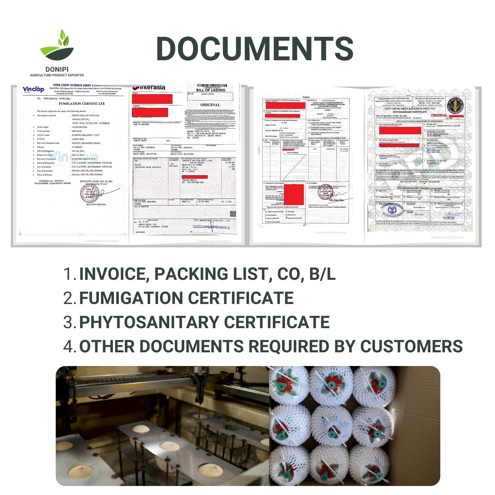 Easy Open Coconut – AGRICULTURE PRODUCT EXPORTER