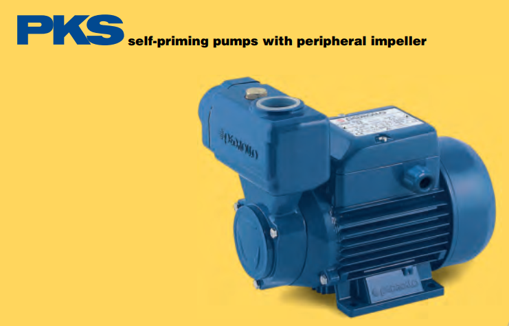 Bơm ly tâm trục ngang PEDROLLO Model PKS 60