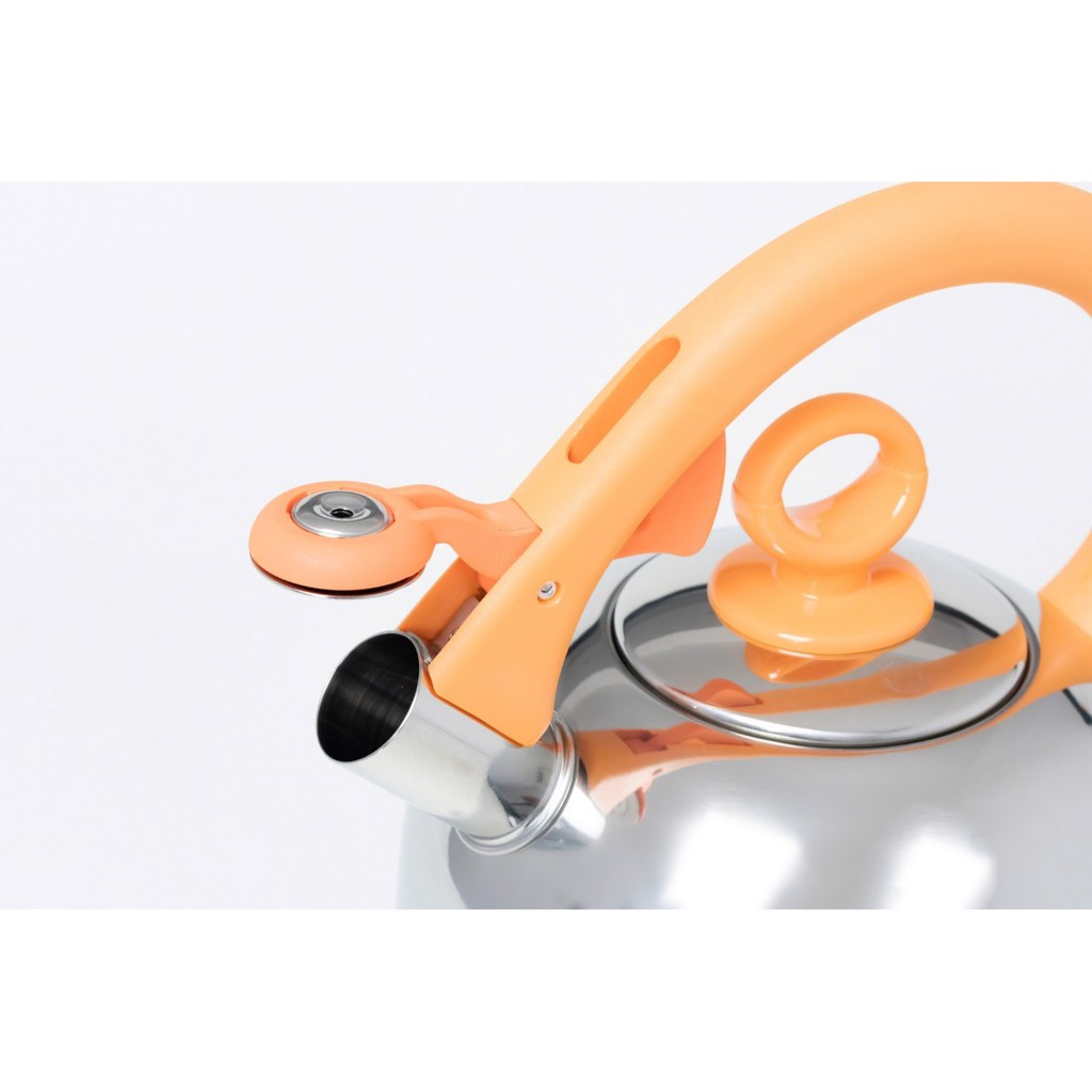 Ấm nước Inox Zebra 113491, dung tích 3.5 lít | Phương mart