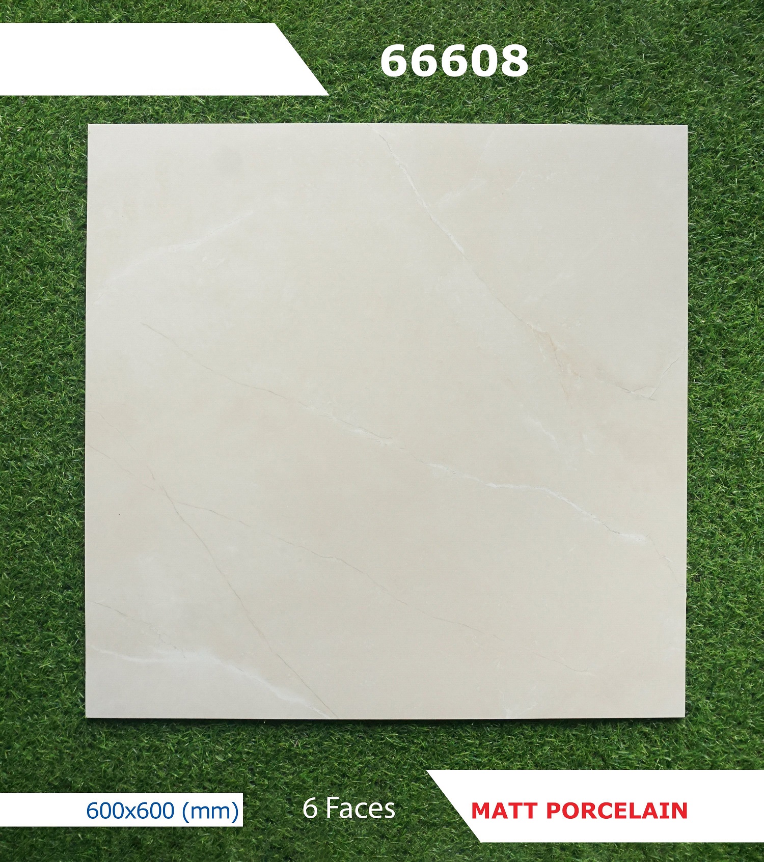 Gạch mờ nhám 60x60 66608 | GIÀU PHÁT