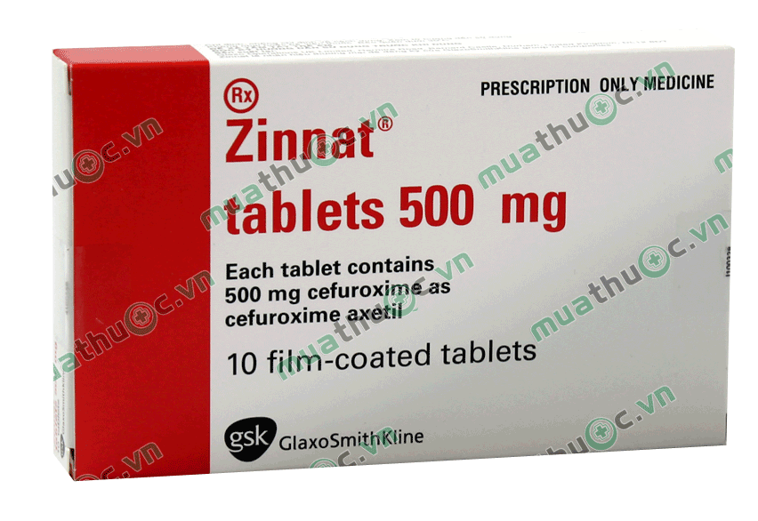 Zinnat 500mg – Siêu thị thuốc việt