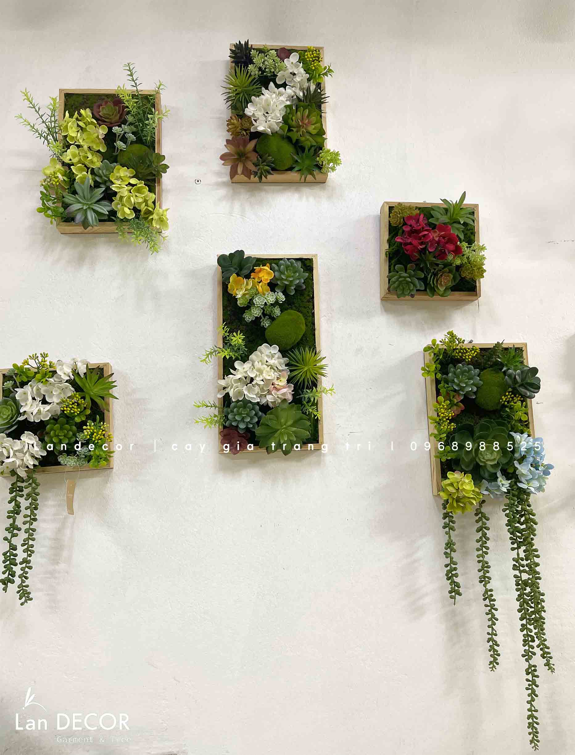 BỘ TRANH RÊU SEN ĐÁ TREO TƯỜNG DECOR ĐỘC ĐÁO, SANG TRỌNG Tổng Kho Sỉ ...