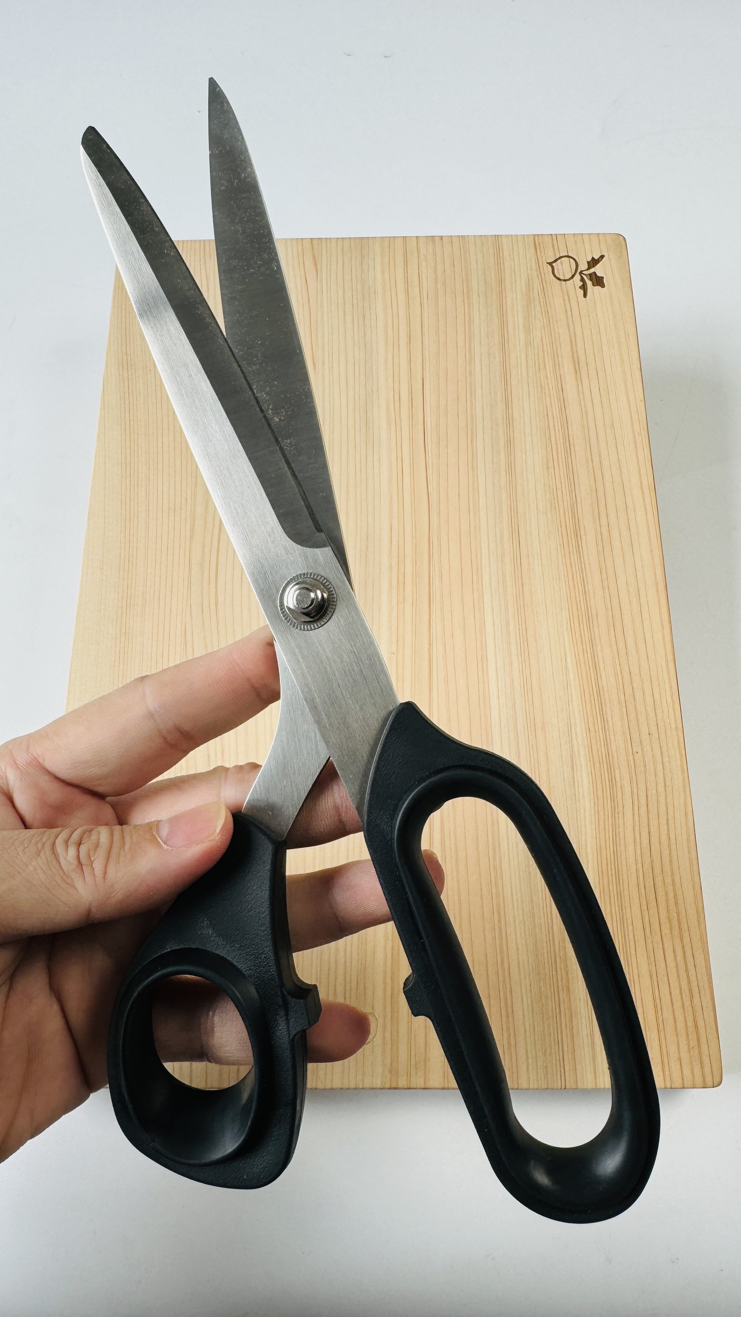 Kéo cắt gà, kéo cắt vải cao cấp thương hiệu KAI - Size lớn N5275 (275mm ...