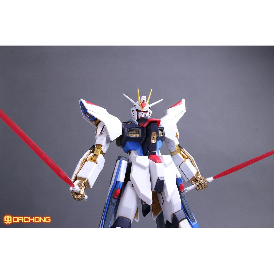 PG Strike Freedom Daban Gundam