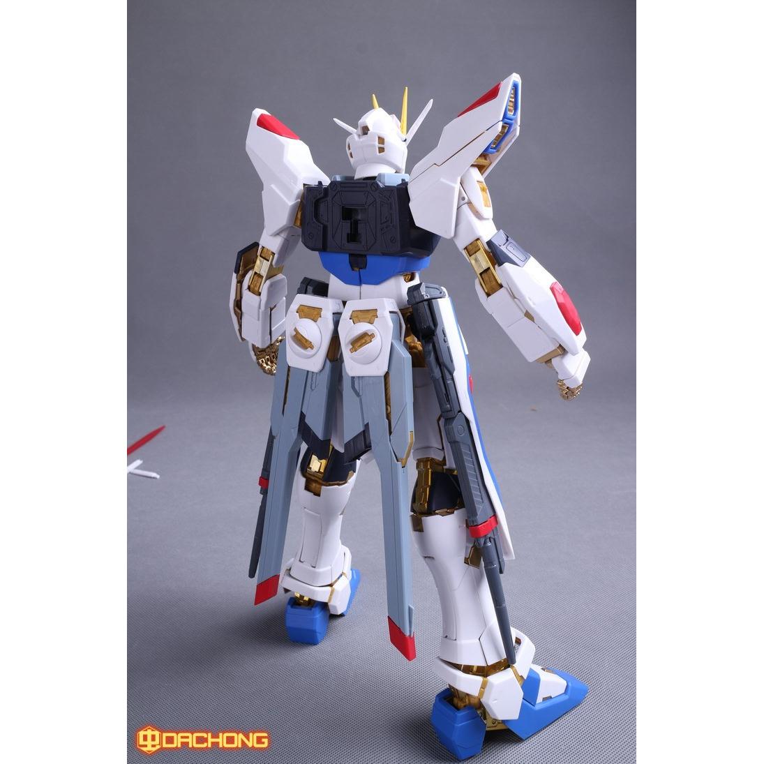 PG Strike Freedom Daban Gundam