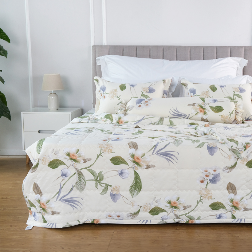 Bộ ga chun Bellis B37