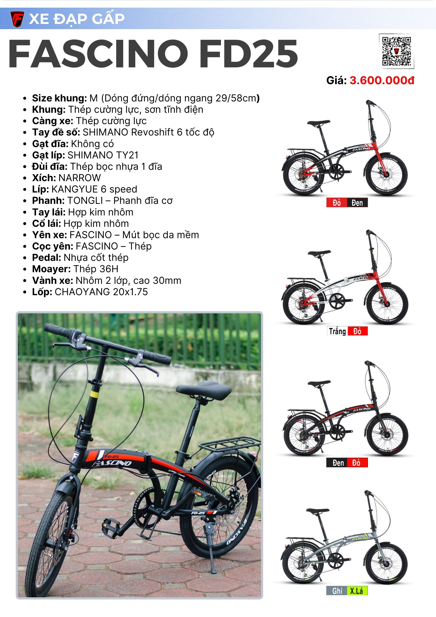 CATALOGUE FASCINO BIKE | XE ĐẠP FASCINO - Tốt Hơn, Đẹp Hơn, Rẻ Hơn